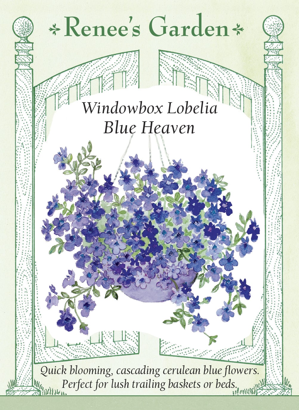 'Blue Heaven' Windowbox Lobelia – Renee's Garden
