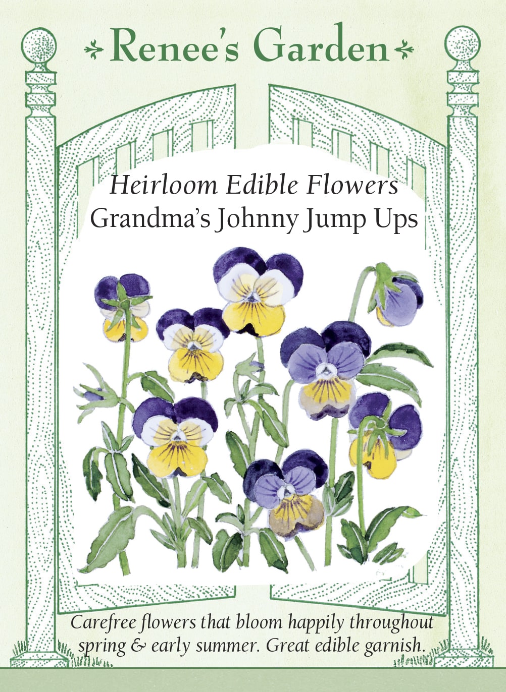 'Grandma’s Johnny Jump Ups' Heirloom Edible Flowers – Renee's Garden