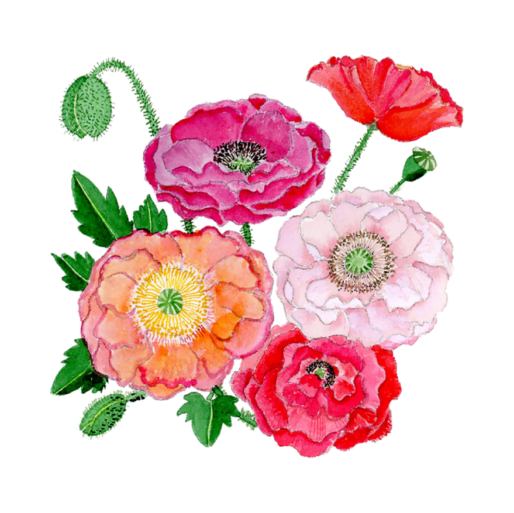 Renee's Garden