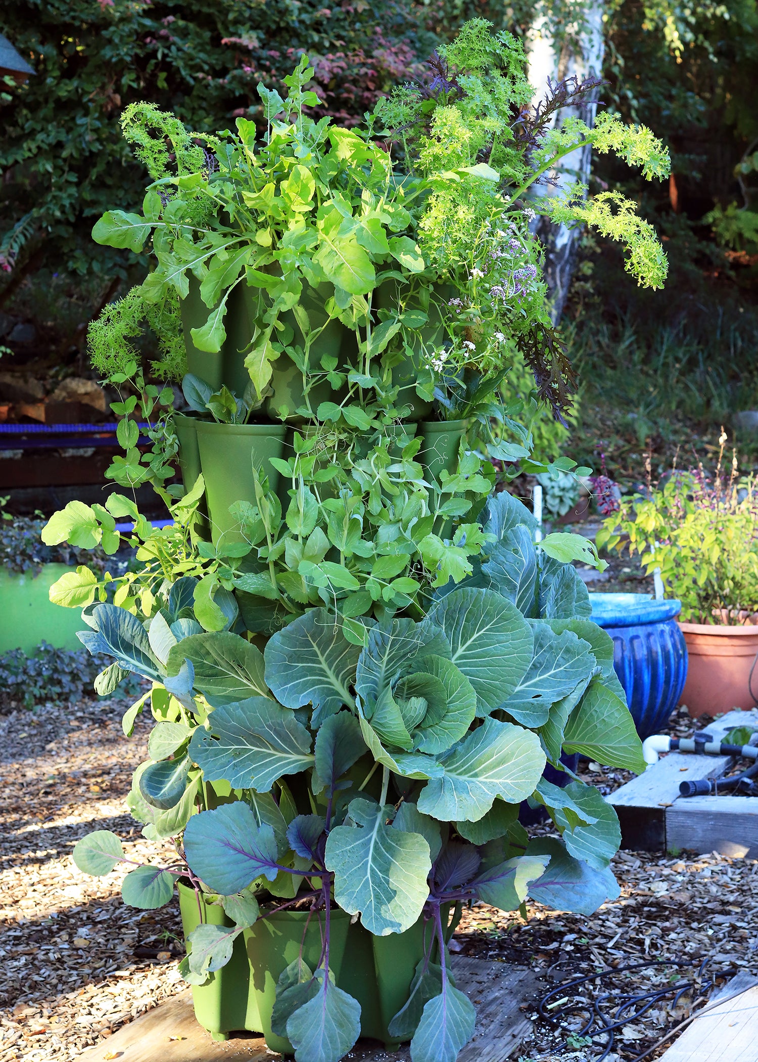 GreenStalk 5-Tier Vertical Planter – Renee's Garden