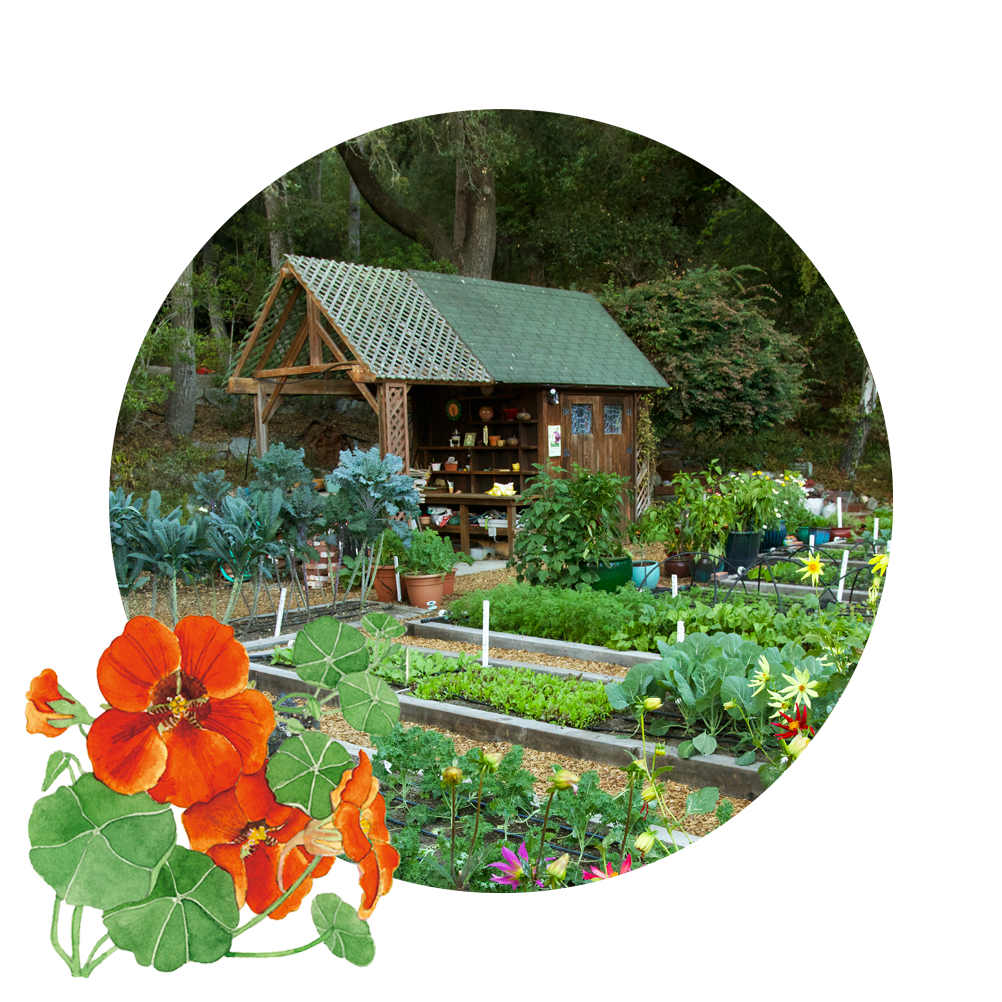 Our Story – Renee's Garden