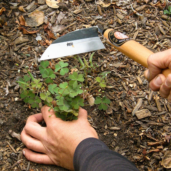 Our Favorite Weeder | Renee's Garden Seeds