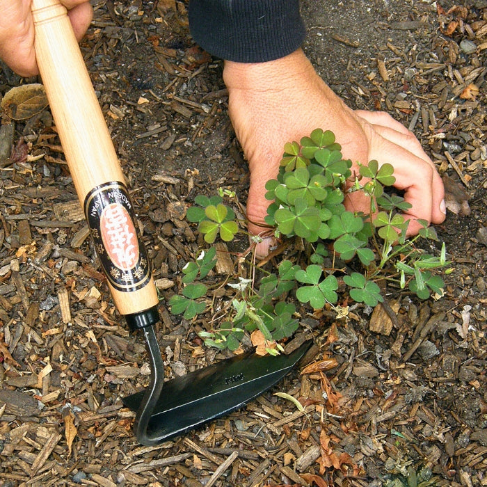 Our Favorite Weeder | Renee's Garden Seeds