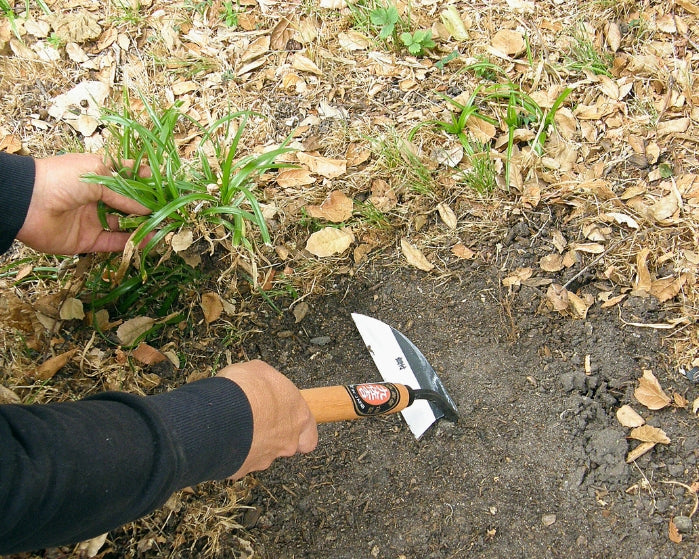 Our Favorite Weeder | Renee's Garden Seeds