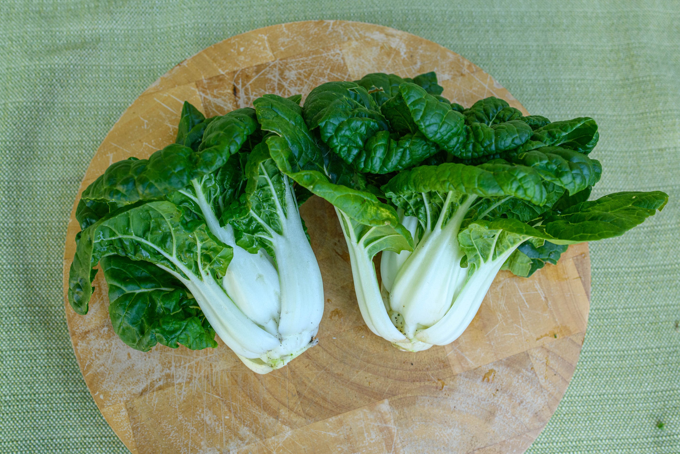 'Green Jewel' Mini Pak Choi – Renee's Garden