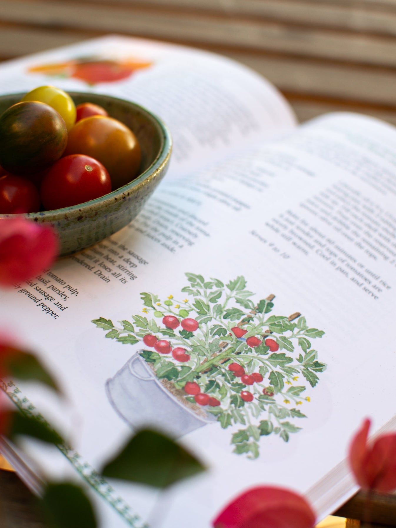 'The Renee's Garden Cookbook' Recently Published!