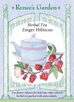 'Zinger Hibiscus' Herbal Tea – Renee's Garden