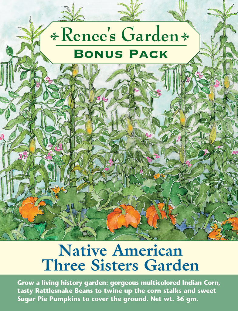 Colorful Specialty Bonus Pack Gifts | Renee's Garden Seeds