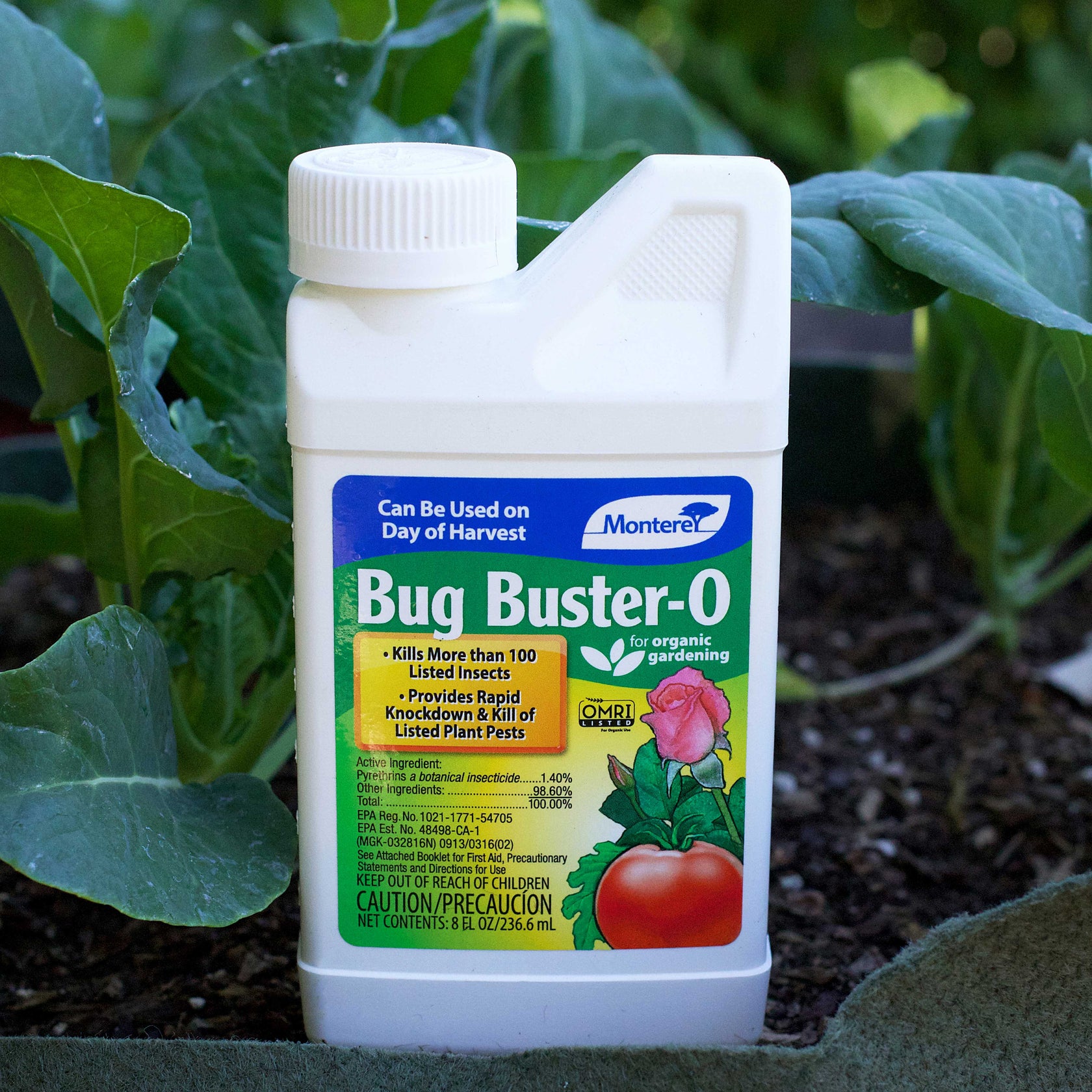 Bug Buster-O – Renee's Garden