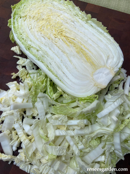 'Emiko' Napa/Chinese Cabbage | Renee's Garden Seeds