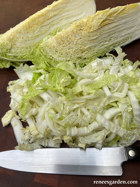 'Emiko' Napa/Chinese Cabbage | Renee's Garden Seeds