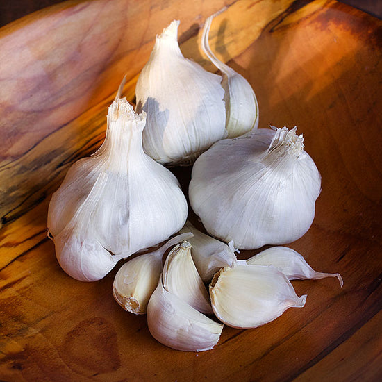 'Italian Early' Garlic – Renee's Garden