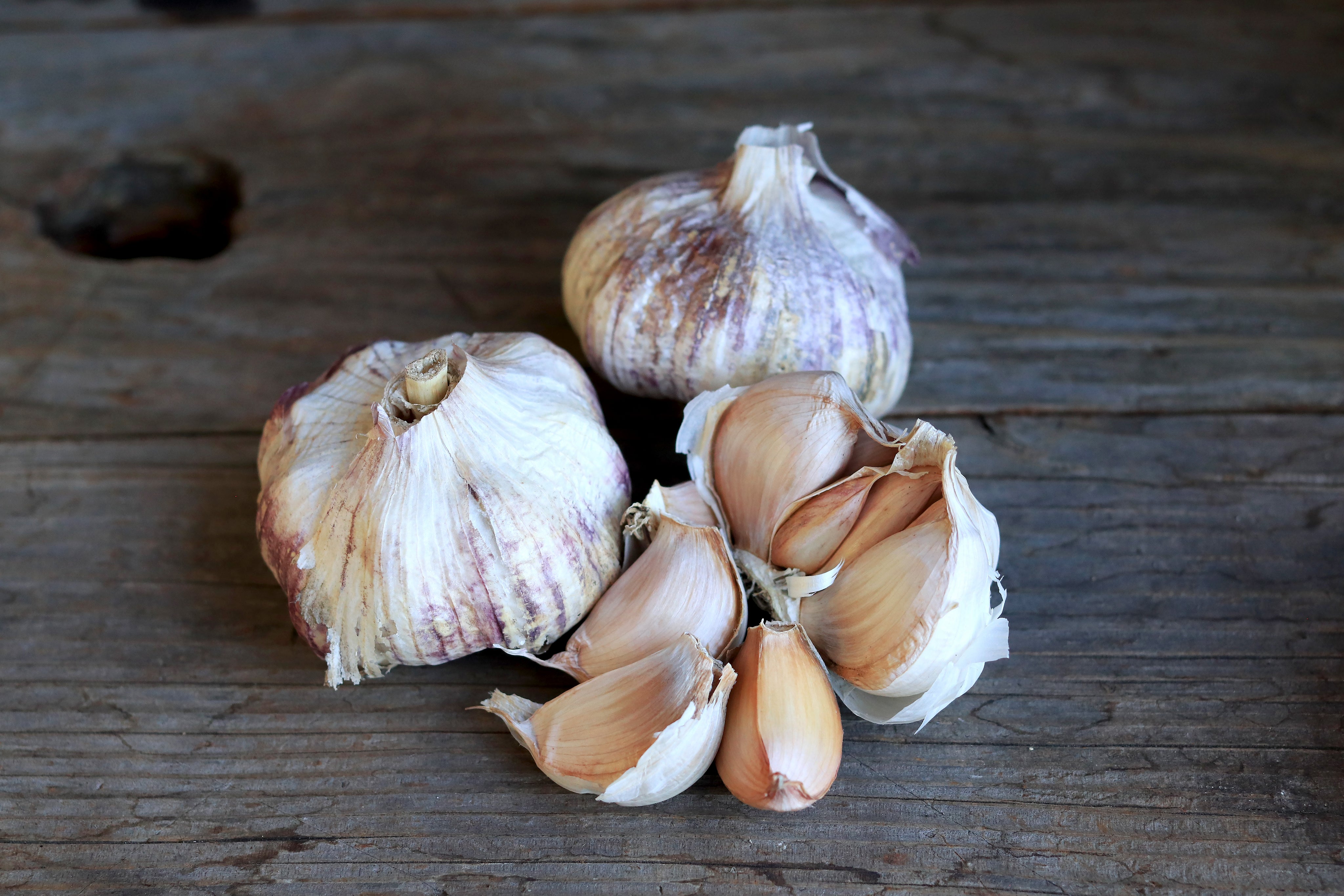 'Spanish Roja' Garlic – Renee's Garden
