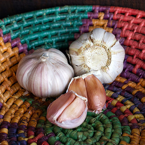 'Spanish Roja' Garlic – Renee's Garden