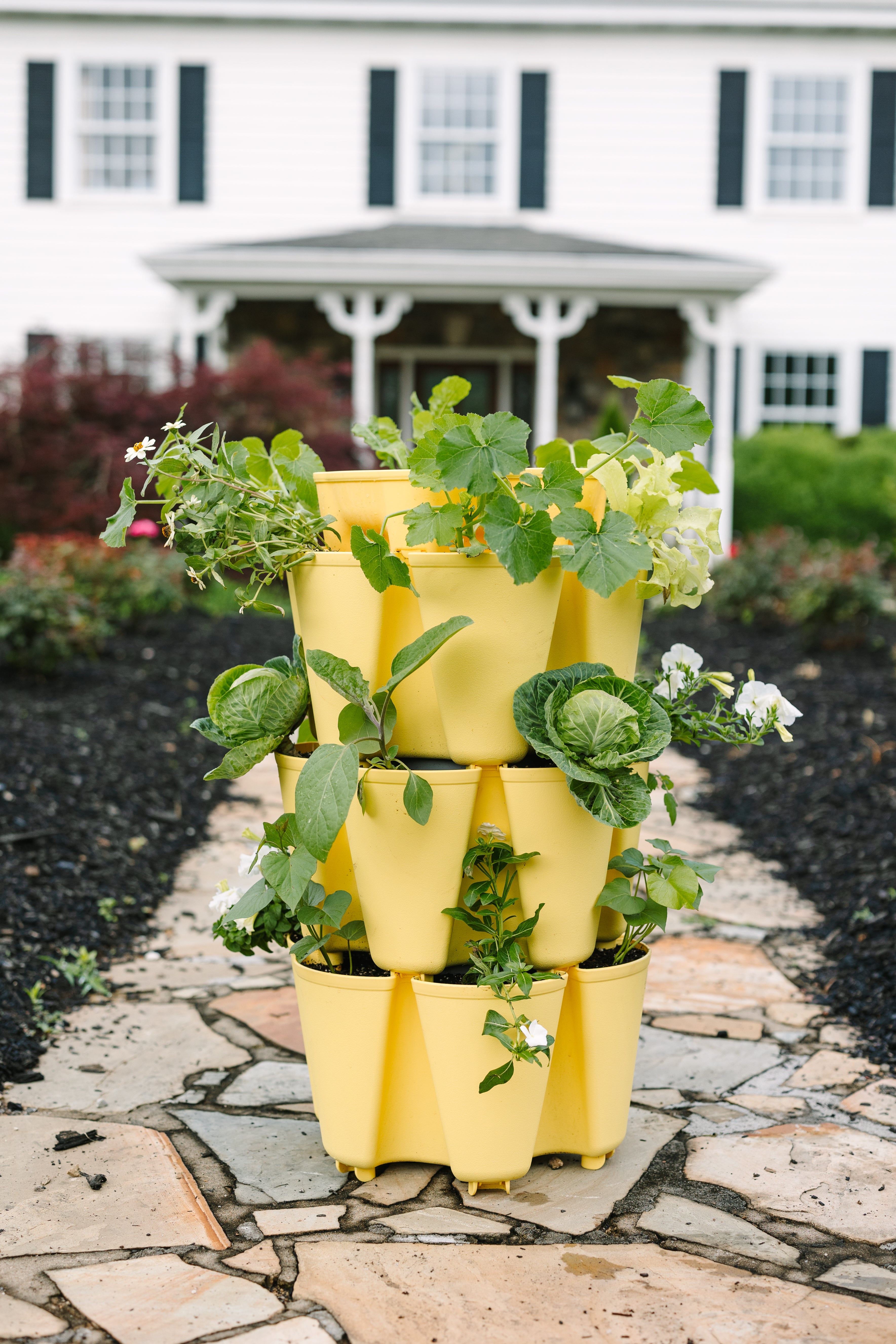 GreenStalk 3-Tier Vertical Planter – Renee's Garden