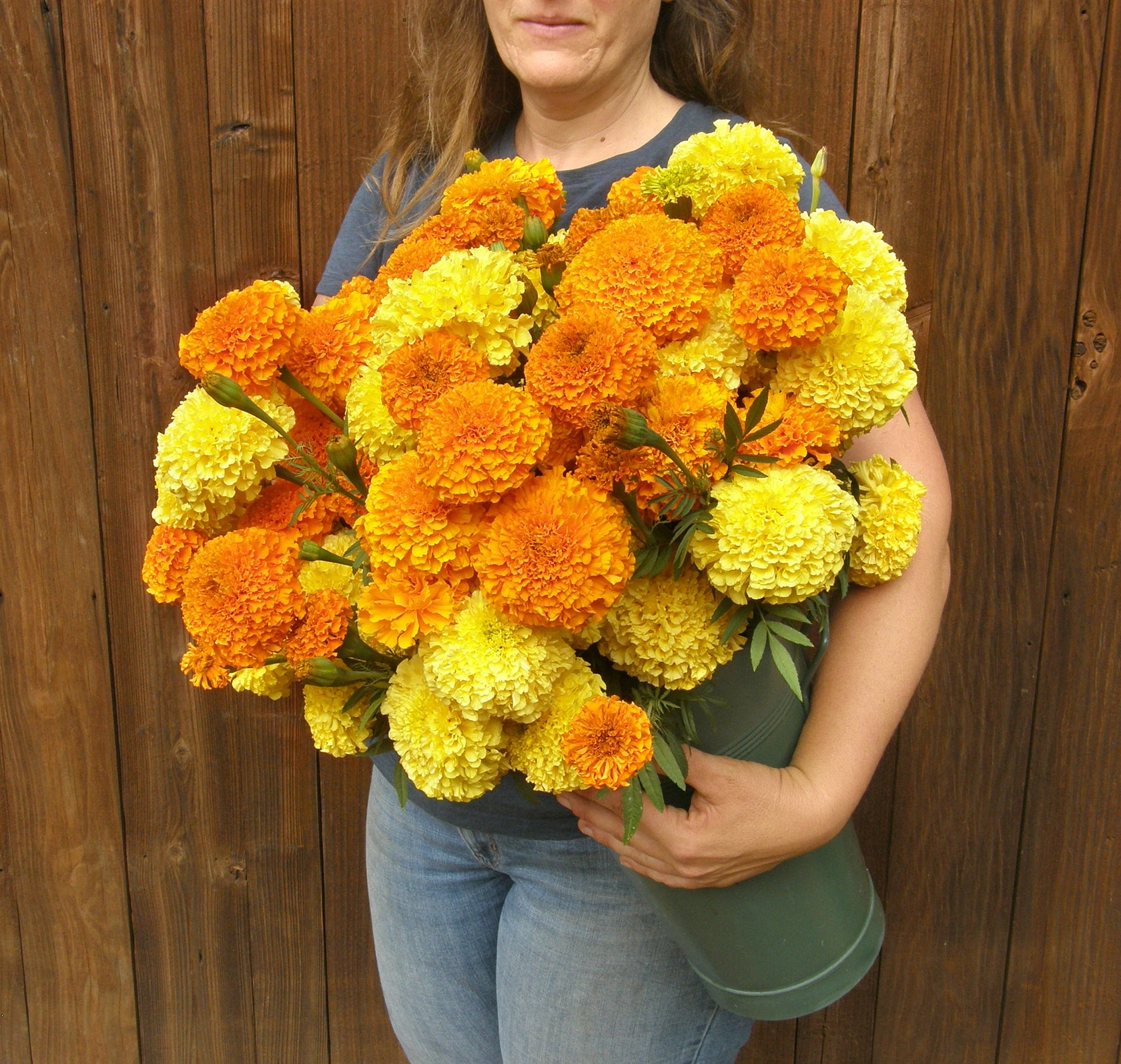 'Orange & Yellow Beast' Giant Bouquet Marigolds – Renee's Garden