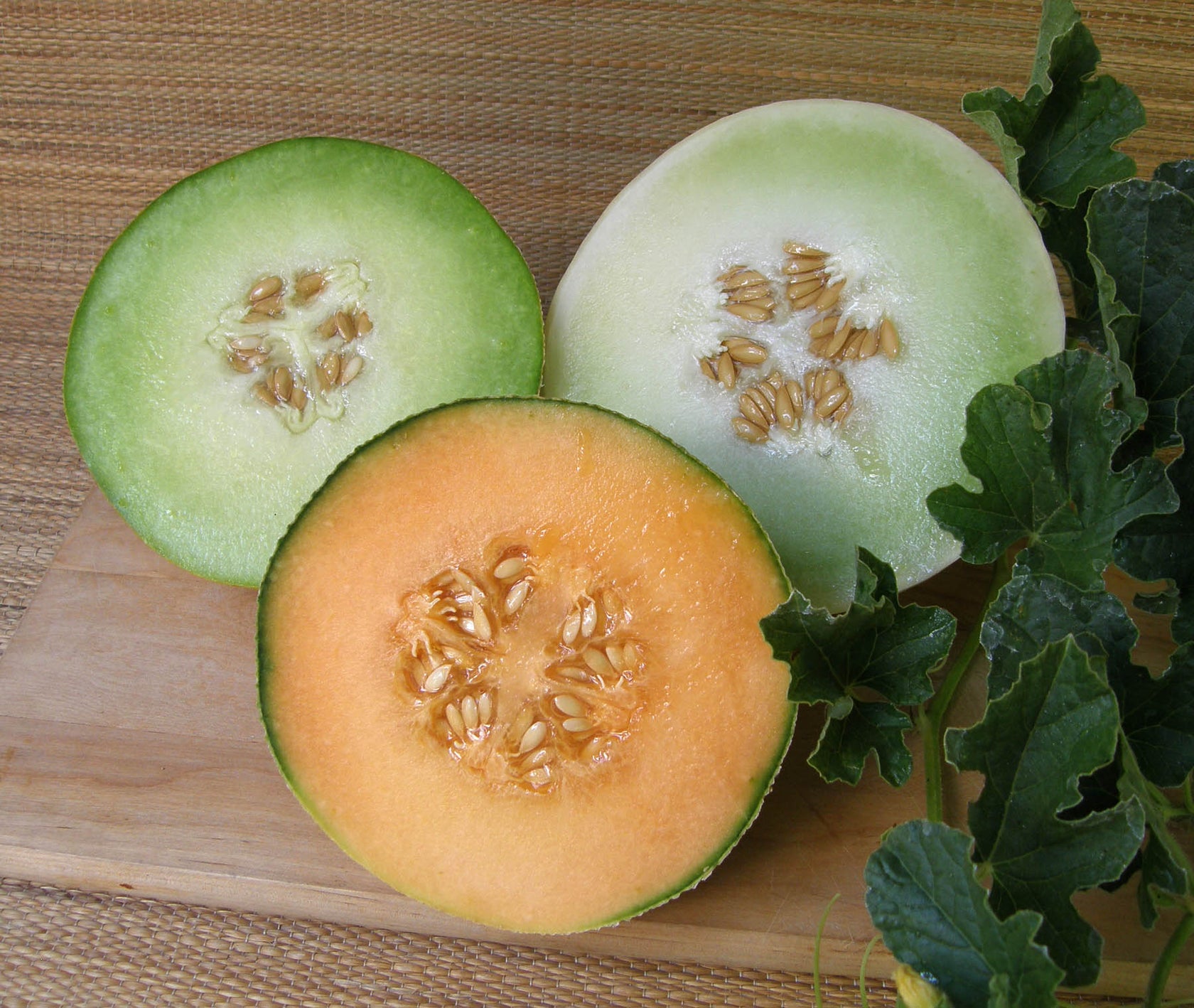 'Galia, Honeydew & Cantaloupe' Three Flavor Melons – Renee's Garden