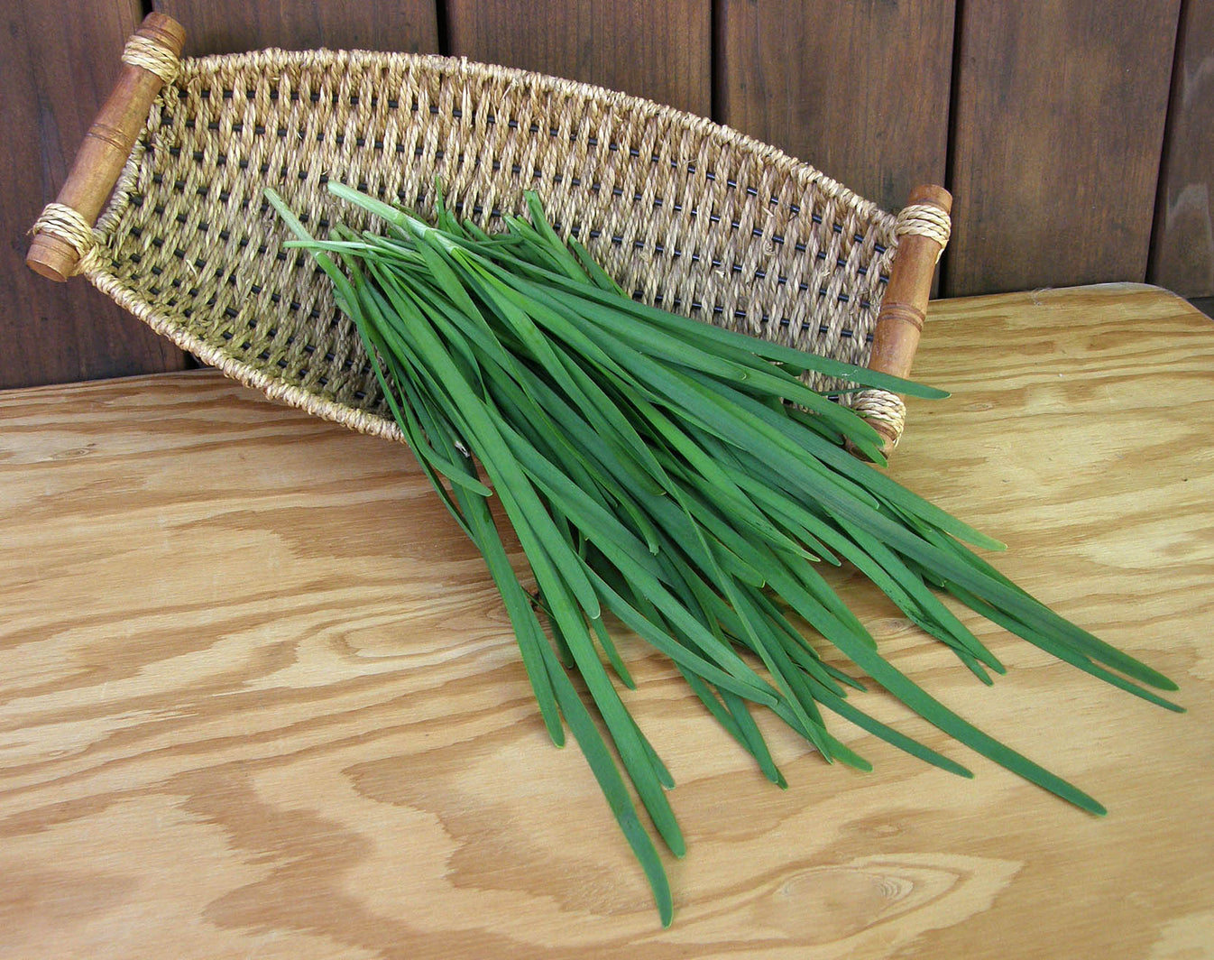 'Garlic Chives' Heirloom Herbs – Renee's Garden