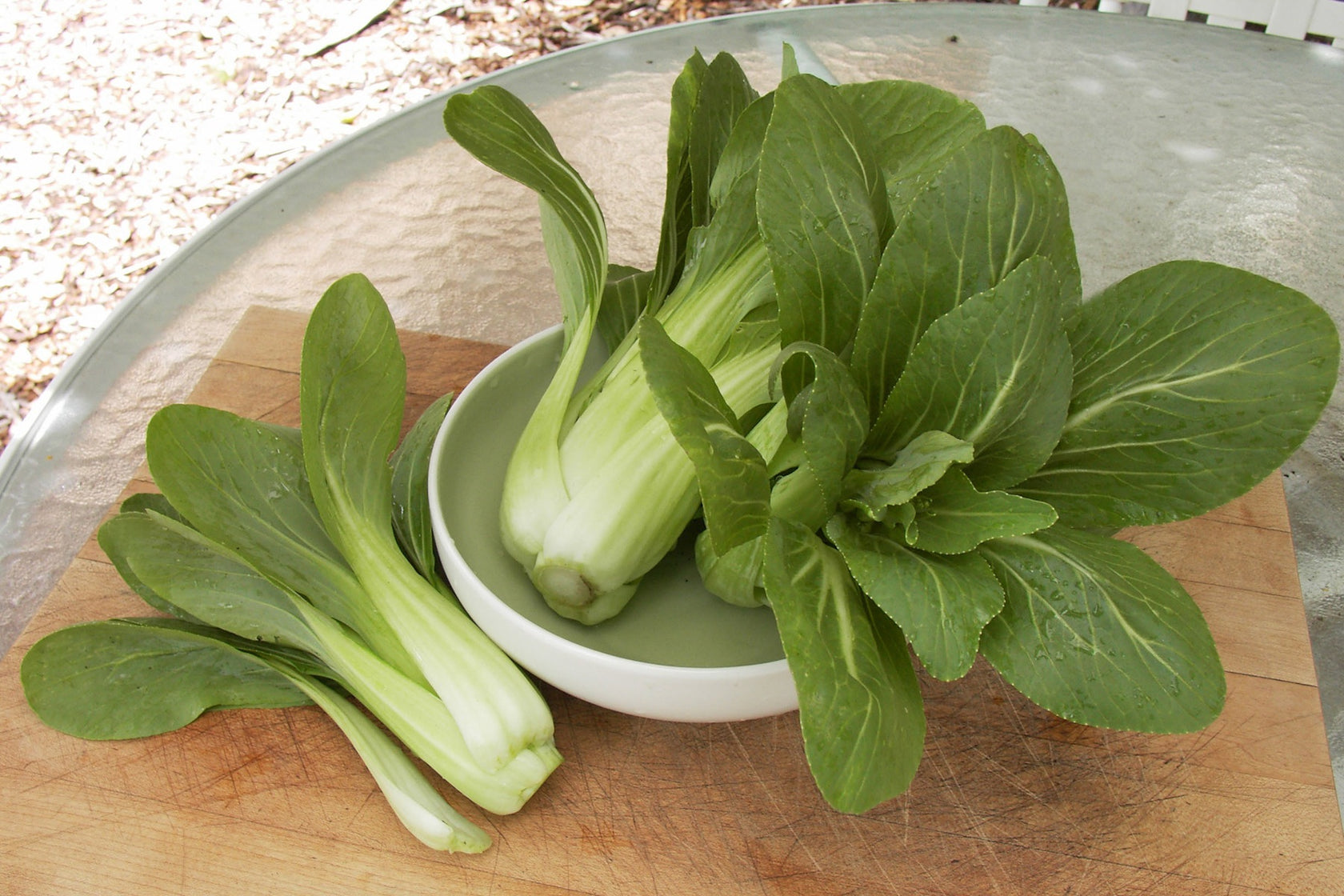 'Green Fortune' Baby Pak Choi – Renee's Garden