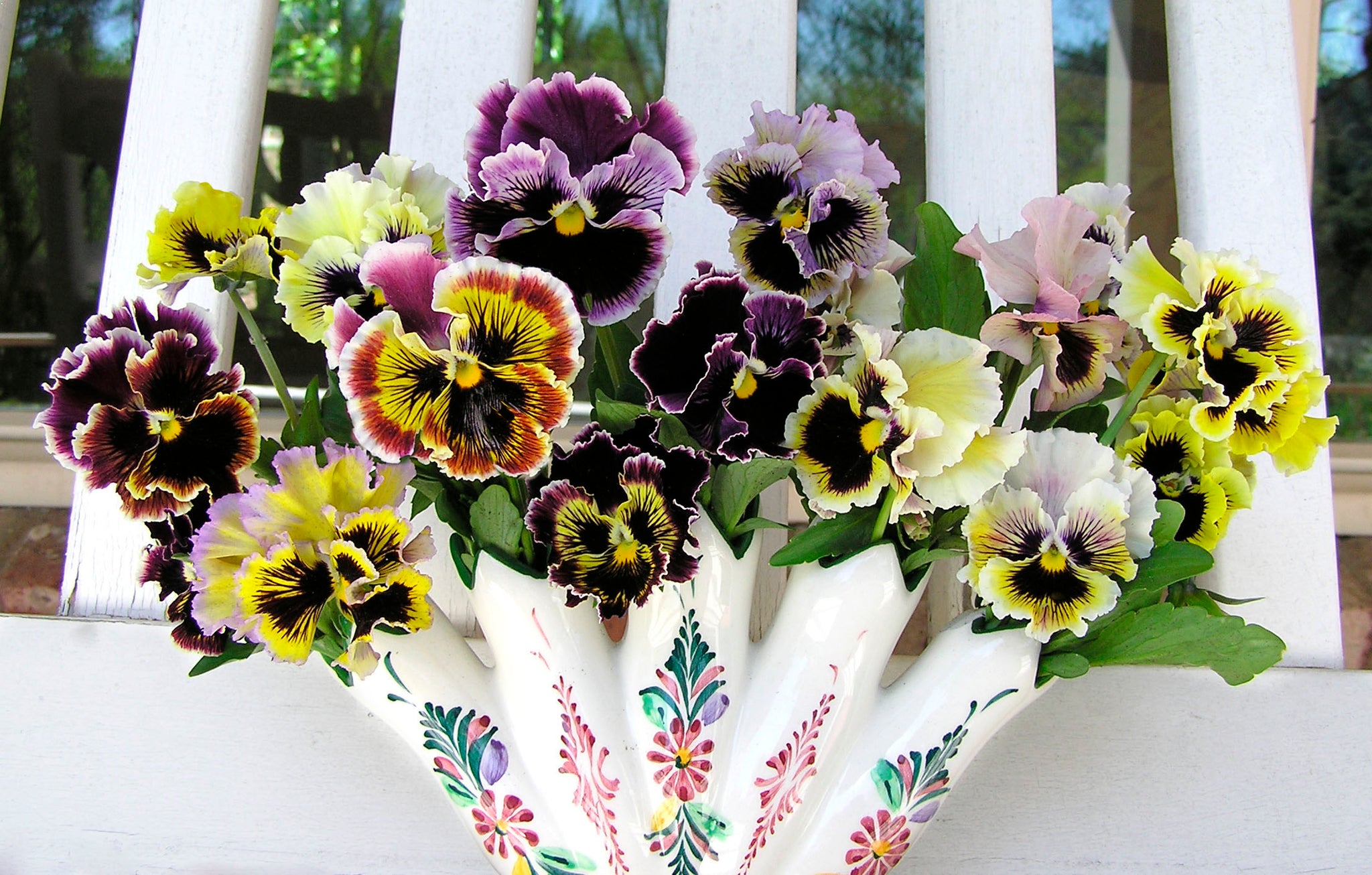 'Victorian Posy' Heirloom Pansies – Renee's Garden