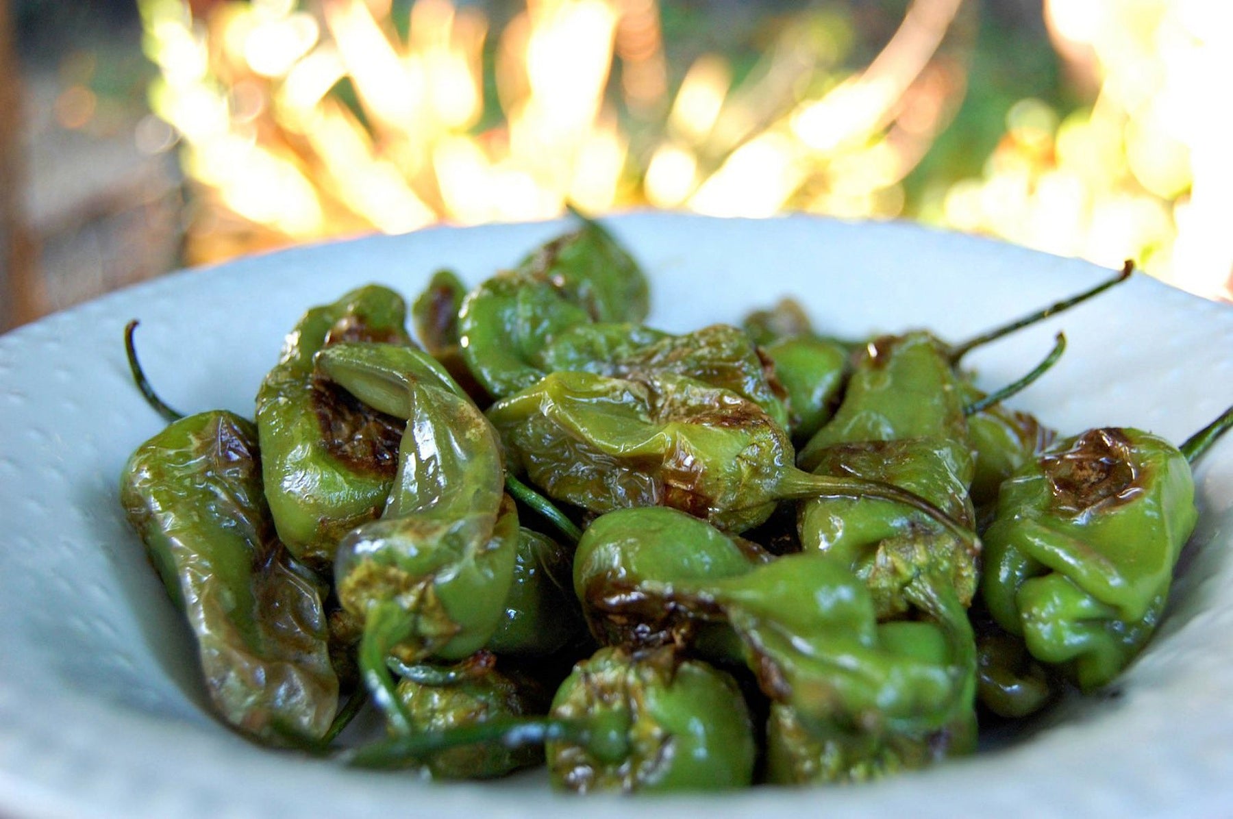 'Spanish Padron' Tapas Peppers – Renee's Garden