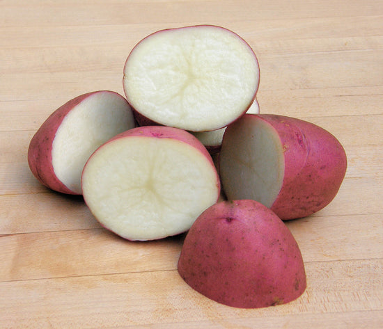 'Colorado Rose' Individual Potato Varieties – Renee's Garden