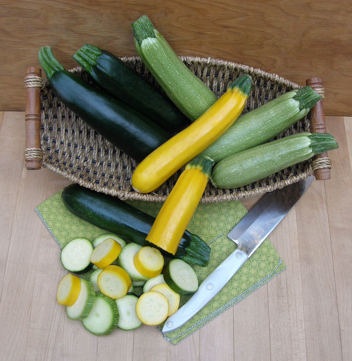Vegetables – tagged "Squash" – Renee's Garden