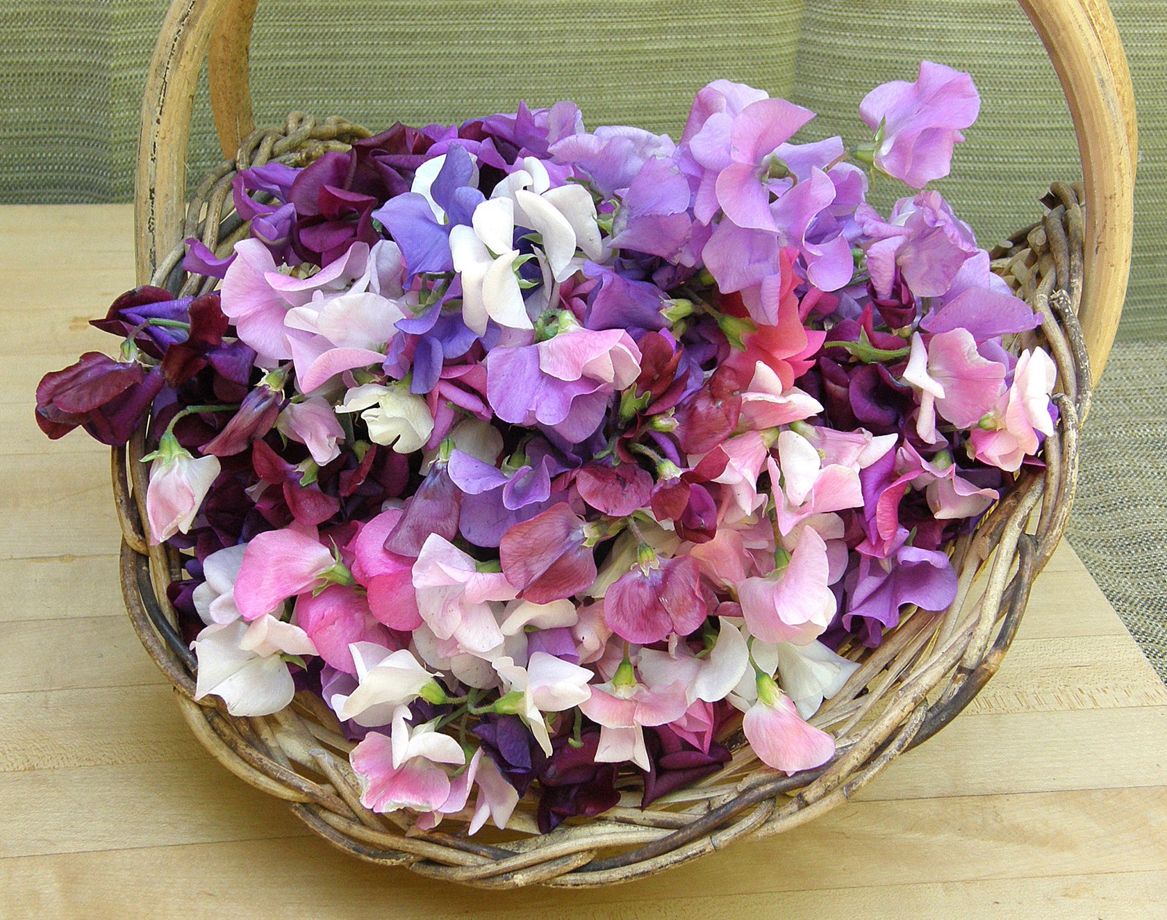 'Perfume Delight' Heirloom Sweet Peas – Renee's Garden