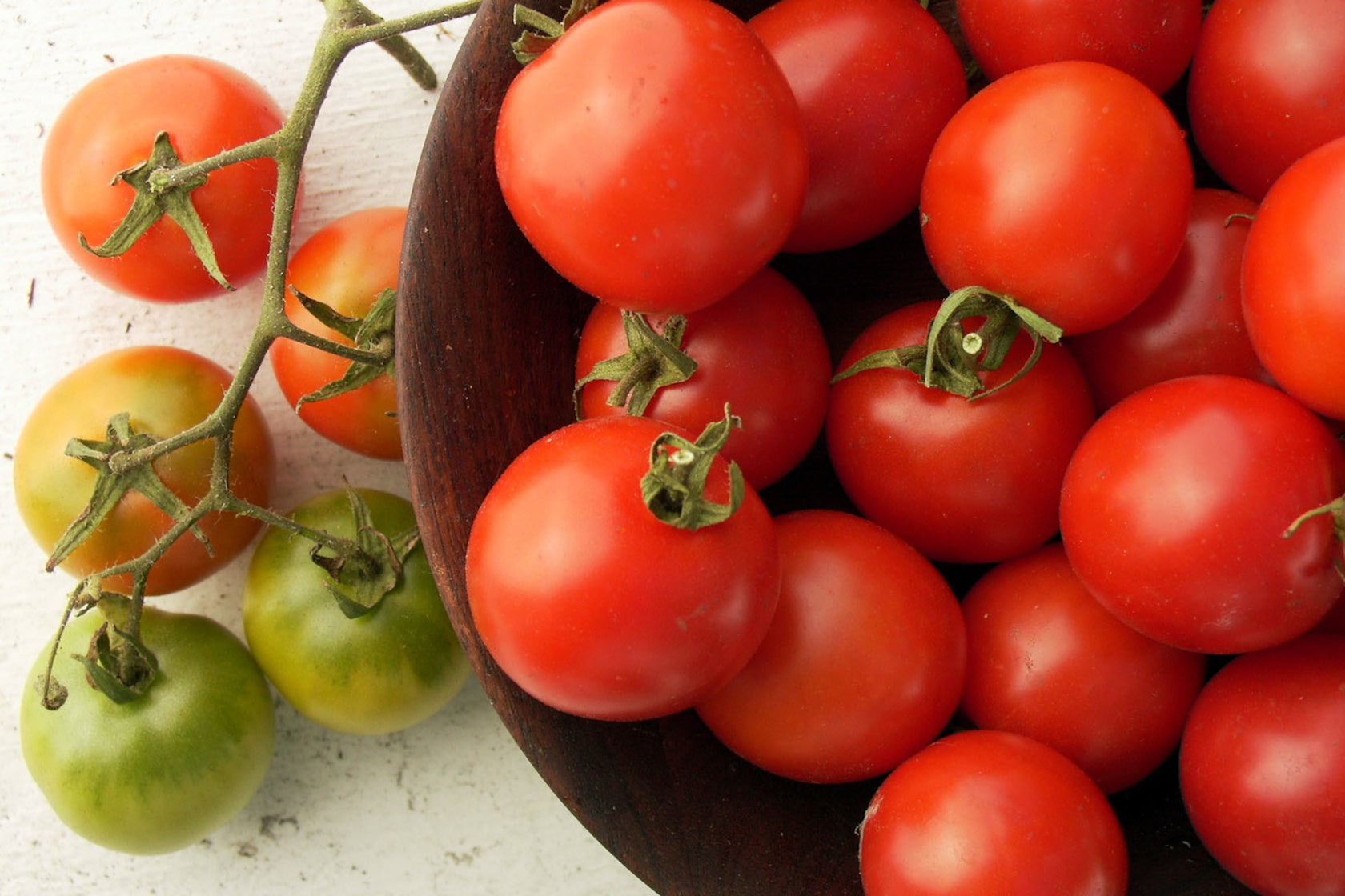 'Camp Joy Cherry' Heirloom Tomatoes – Renee's Garden