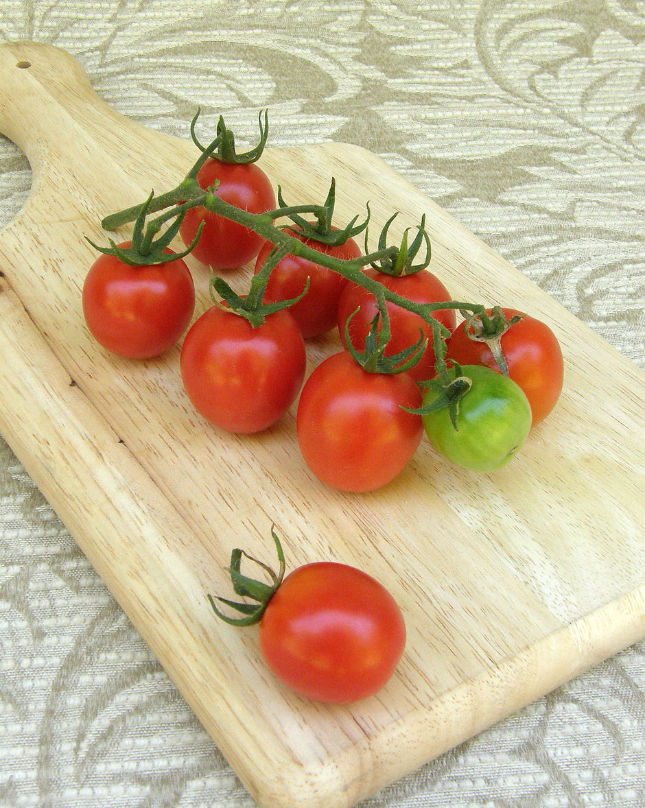 Tomato – Renee's Garden