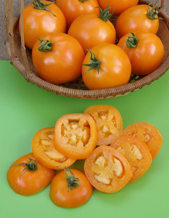 'Mandarin Cross' Japanese Slicing Tomato – Renee's Garden