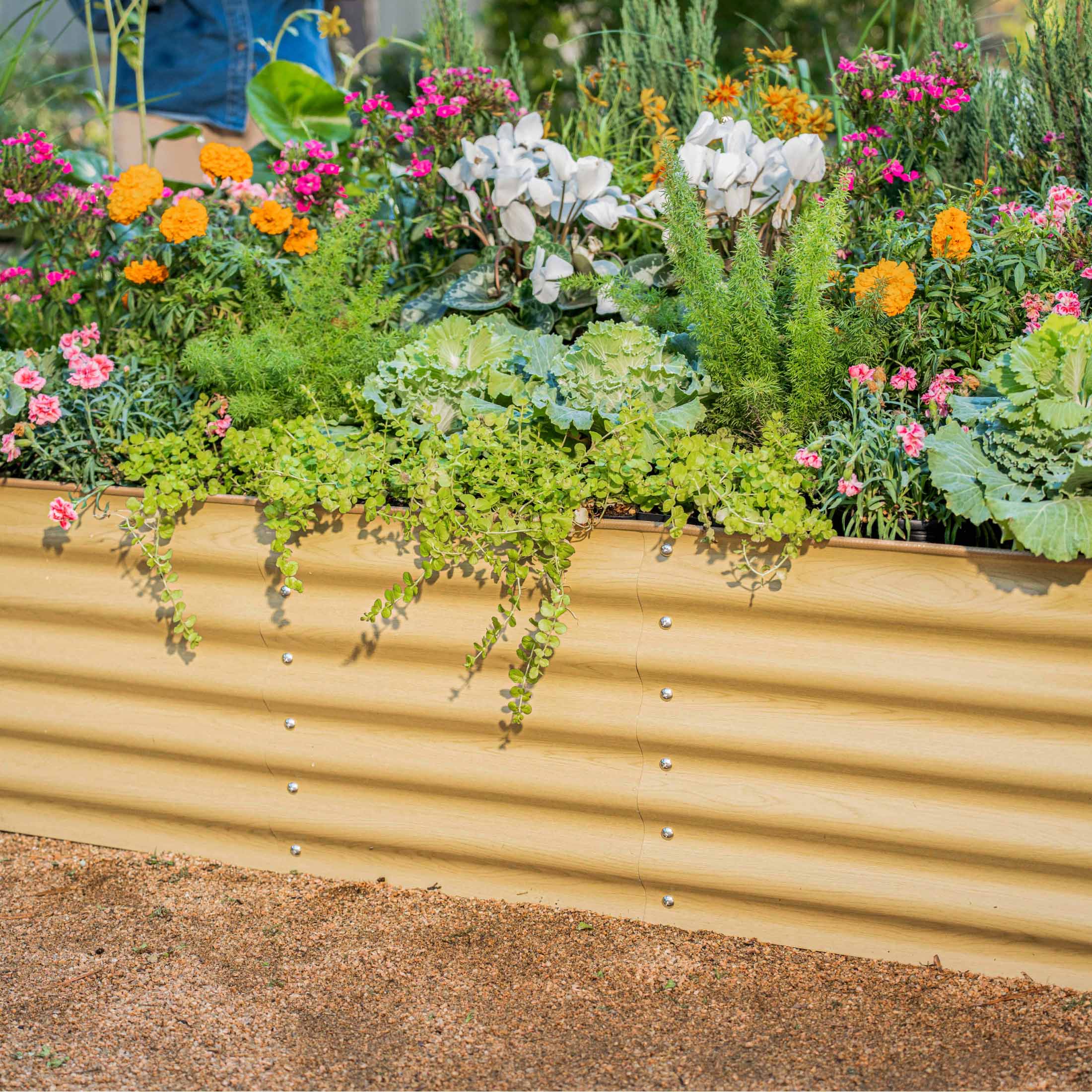 6 In 1 Vego Garden Raised Bed Kit – Renee's Garden