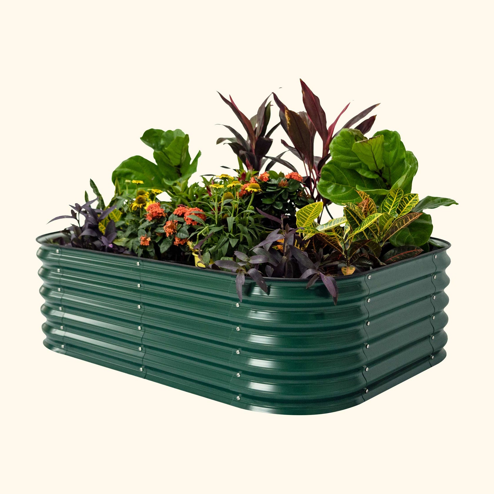 6 In 1 Vego Garden Raised Bed Kit – Renee's Garden