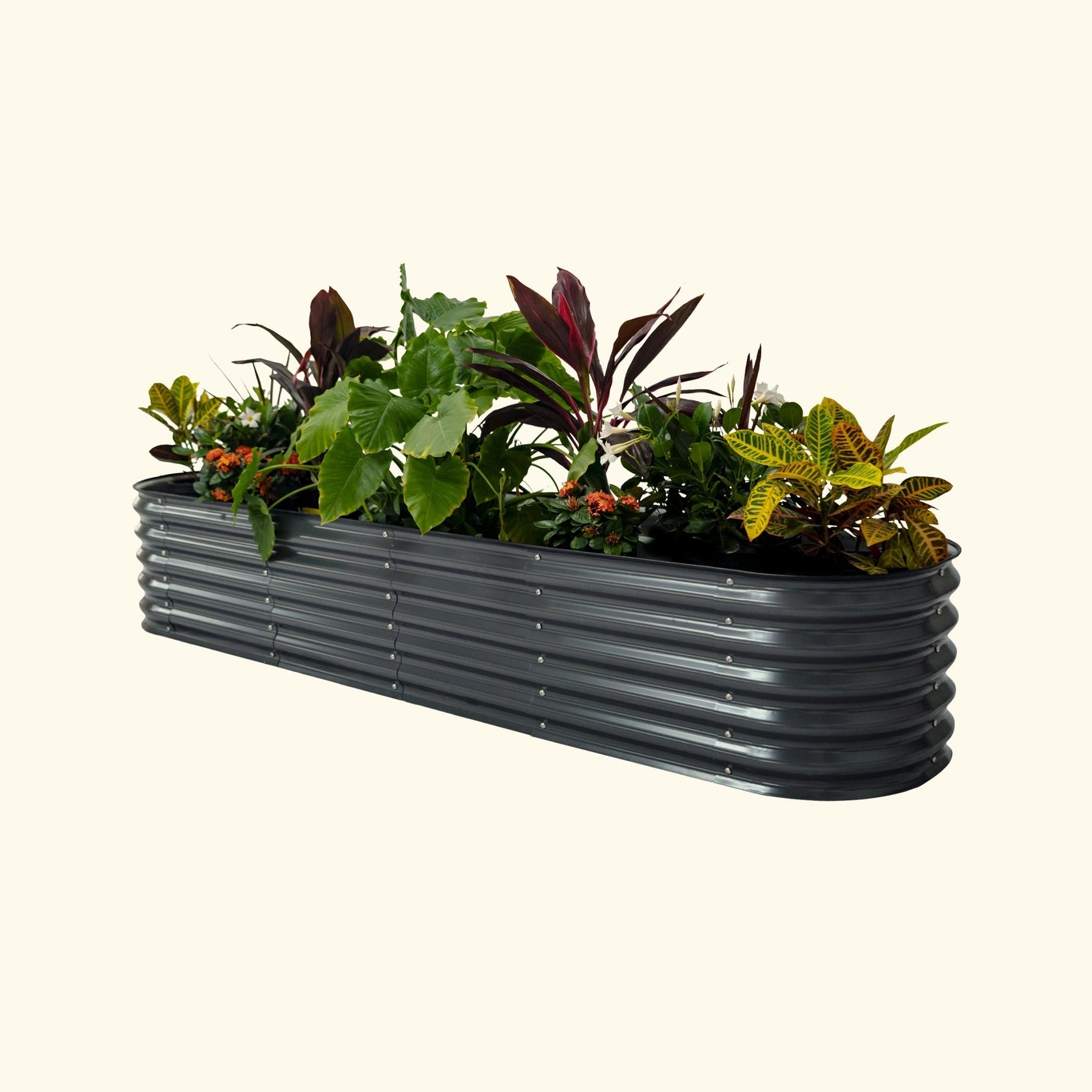 9 In 1 Vego Garden Raised Bed Kit – Renee's Garden