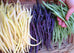 'Green, Yellow & Purple' Tricolor Pole Beans – Renee's Garden