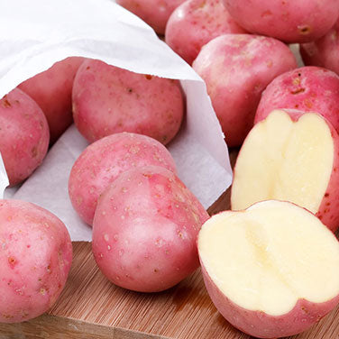 'Colorado Rose' Individual Potato Varieties | Renee's Garden Seeds