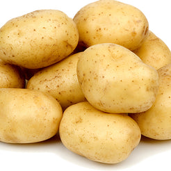'Heirloom German Butterball' Individual Potato Varieties – Renee's Garden