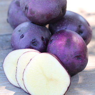 Huckleberry Gold: The First Low Glycemic Potato! – Renee's Garden