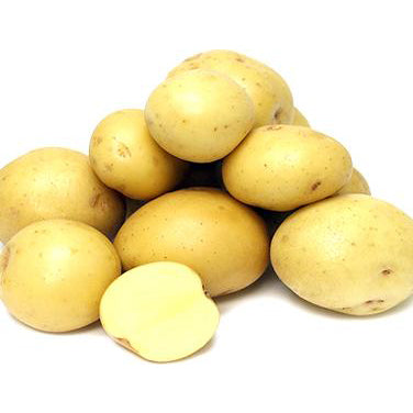 Yukon Gem | Renee's Garden Seeds