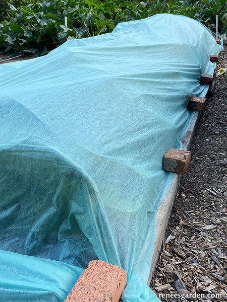 Agryl Floating Row Cover | Renee's Garden Seeds