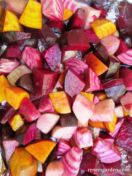 'Five Color Rainbow' Gourmet Beets | Renee's Garden Seeds