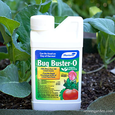 Bug Buster-O | Renee's Garden Seeds