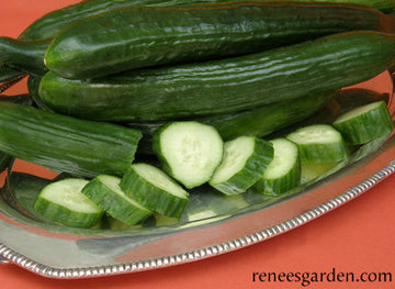 Cucumbers – Renee's Garden