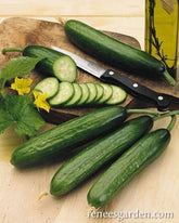 Cucumbers – Renee's Garden