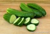 Cucumbers – Renee's Garden