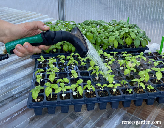 Dramm One Touch Fan Nozzle – Renee's Garden
