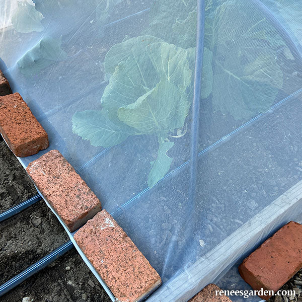 ProtekNet Insect Barrier Netting | Renee's Garden Seeds