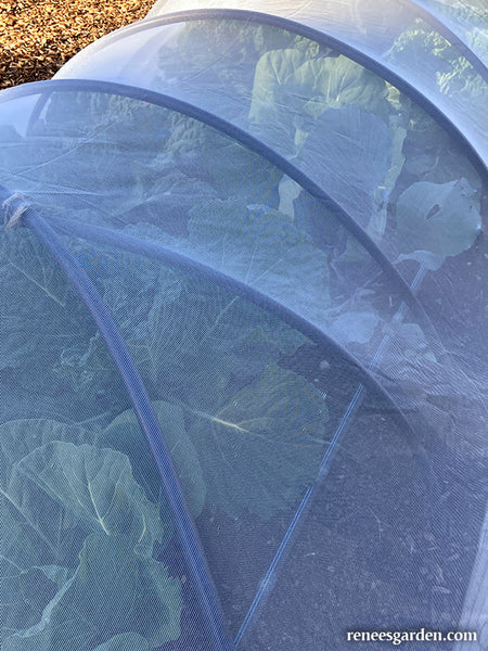 ProtekNet Insect Barrier Netting | Renee's Garden Seeds