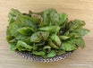'Flashy Trout Back' Heirloom Cutting Lettuce – Renee's Garden