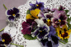 'Victorian Posy' Heirloom Pansies – Renee's Garden
